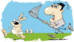 ARE WE CHASING THE WRONG RABBIT DOWN THE WRONG TRAIL??? « Roybeaird's Blog